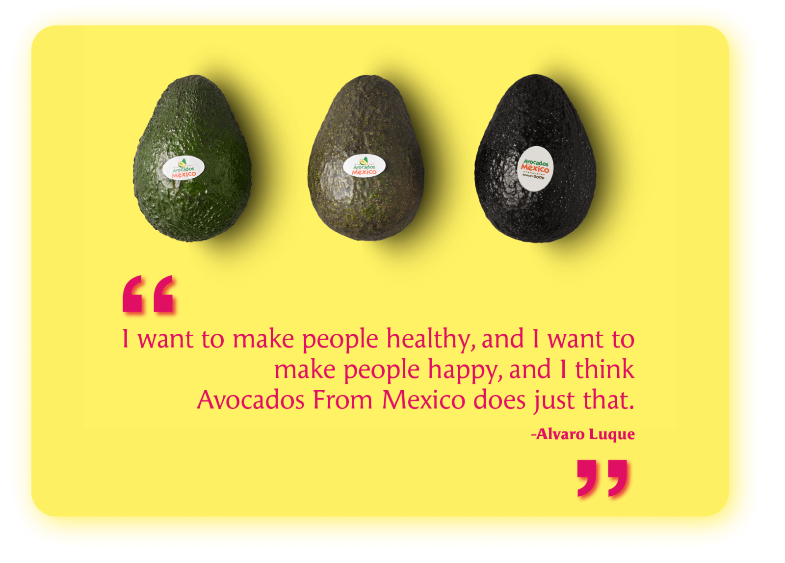 Alvaro Luque on the Decade of the Mexican Avocado - Hispanic Executive