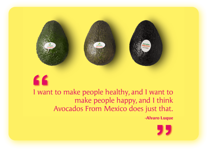 Alvaro Luque on the Decade of the Mexican Avocado - Hispanic Executive
