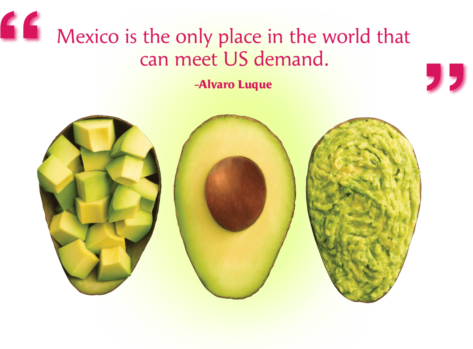 Alvaro Luque on the Decade of the Mexican Avocado - Hispanic Executive