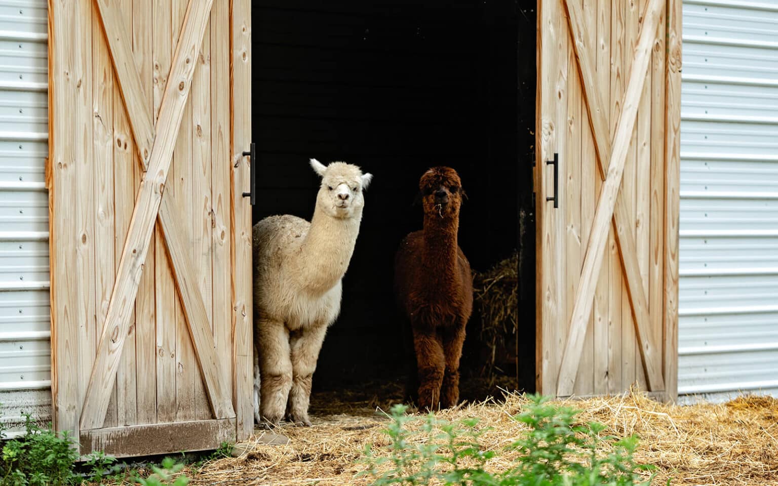 Kate Pérez Whittaker has Everything She Worked So Hard for at Arxada ...